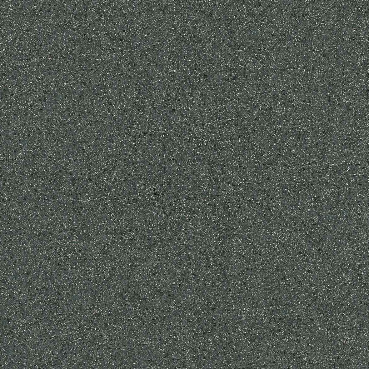 NEW MOMI/ニューモミ | TECTURE（テクチャー）