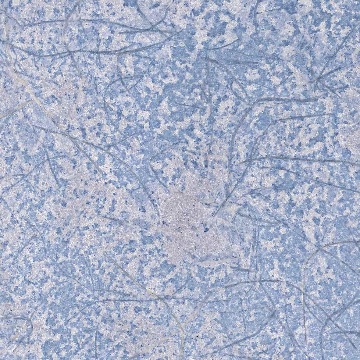 BISUTH | TECTURE（テクチャー）