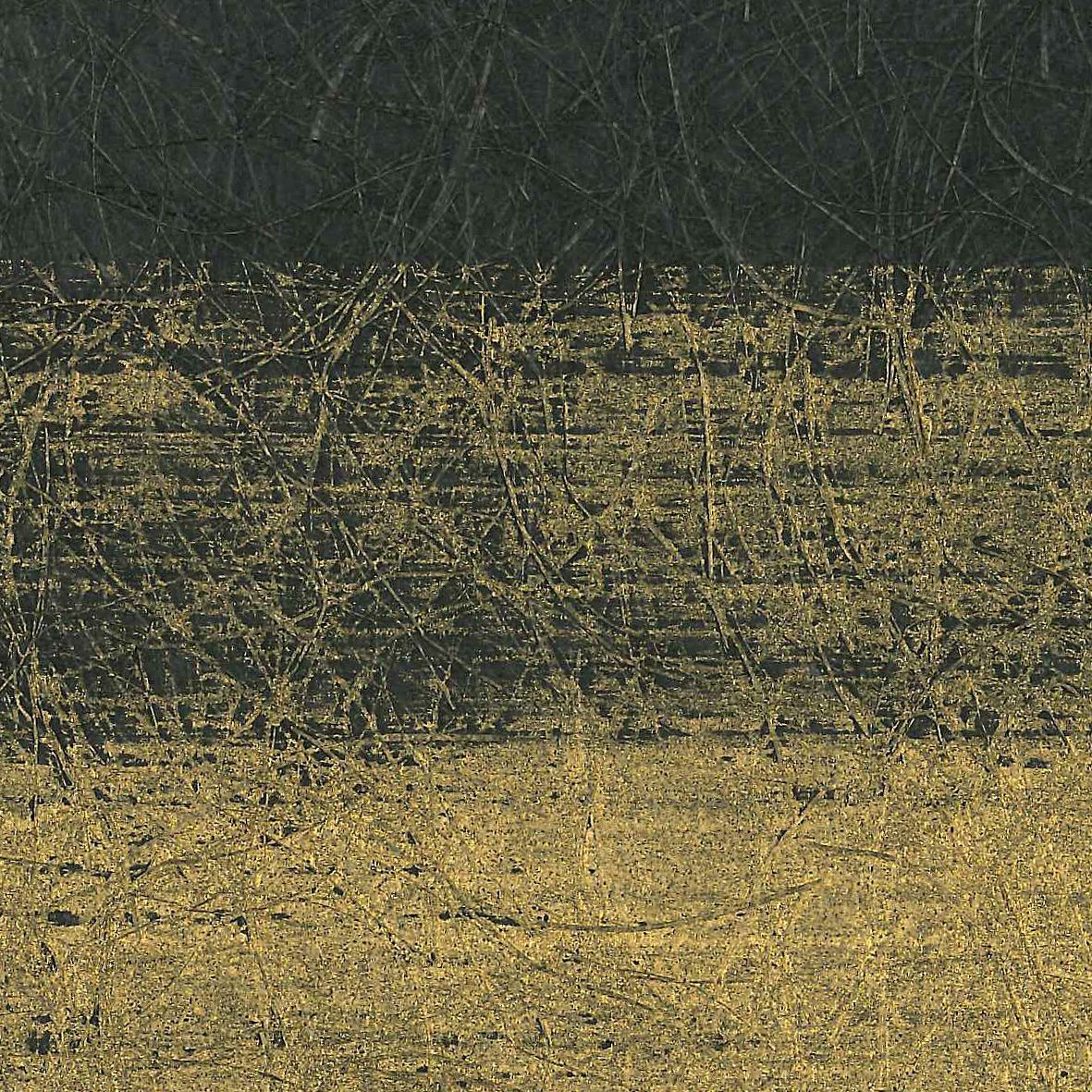 HAZY | TECTURE（テクチャー）