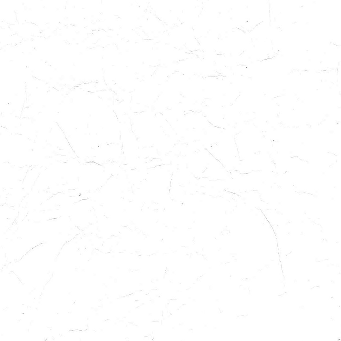 MOMI | TECTURE（テクチャー）