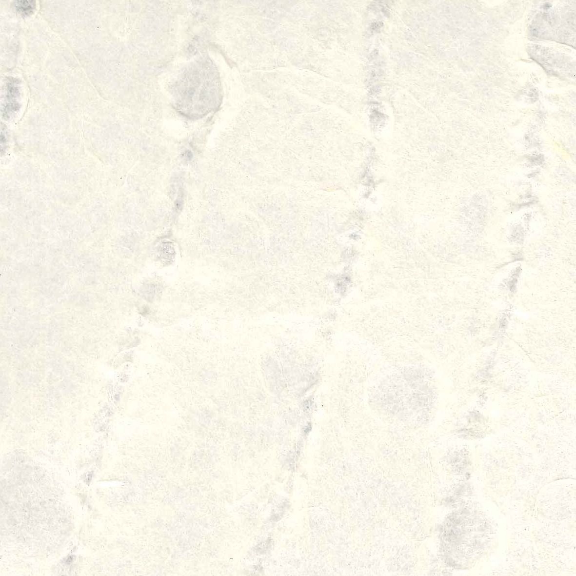 STRATUS | TECTURE（テクチャー）