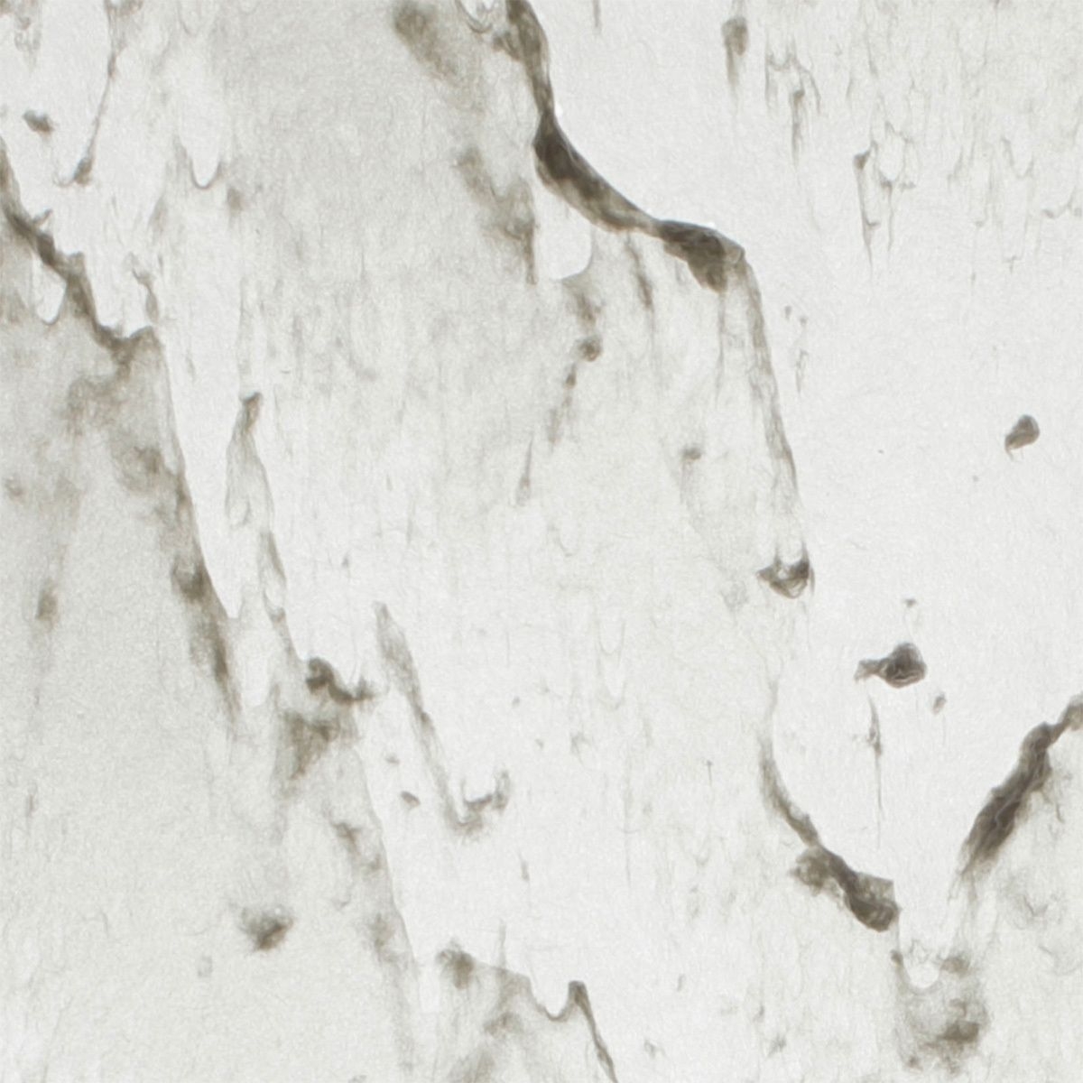 MINAMO | TECTURE（テクチャー）