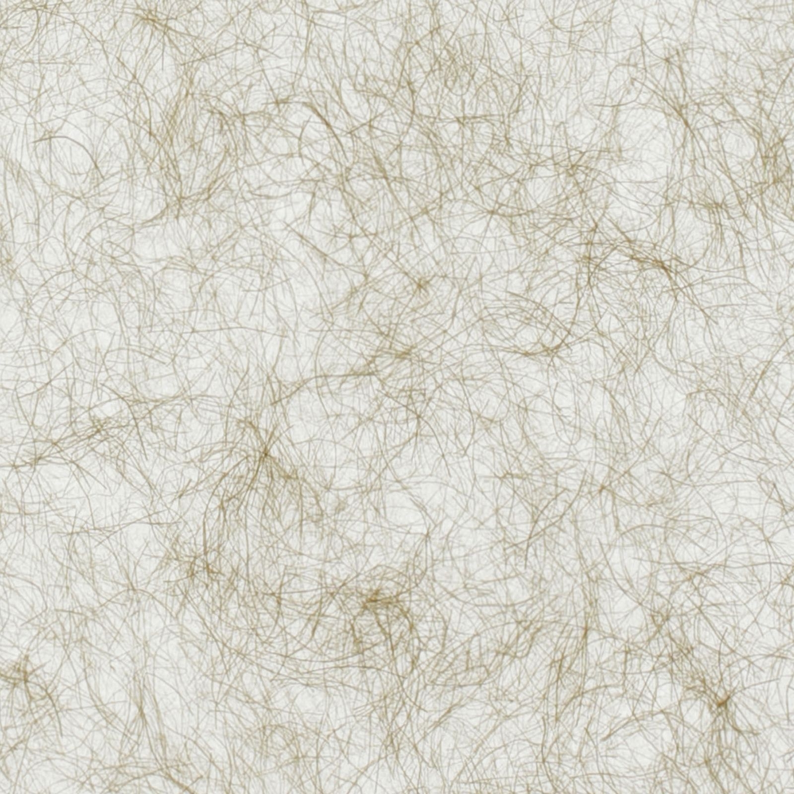 SPUN GLASS SHEET | TECTURE（テクチャー）