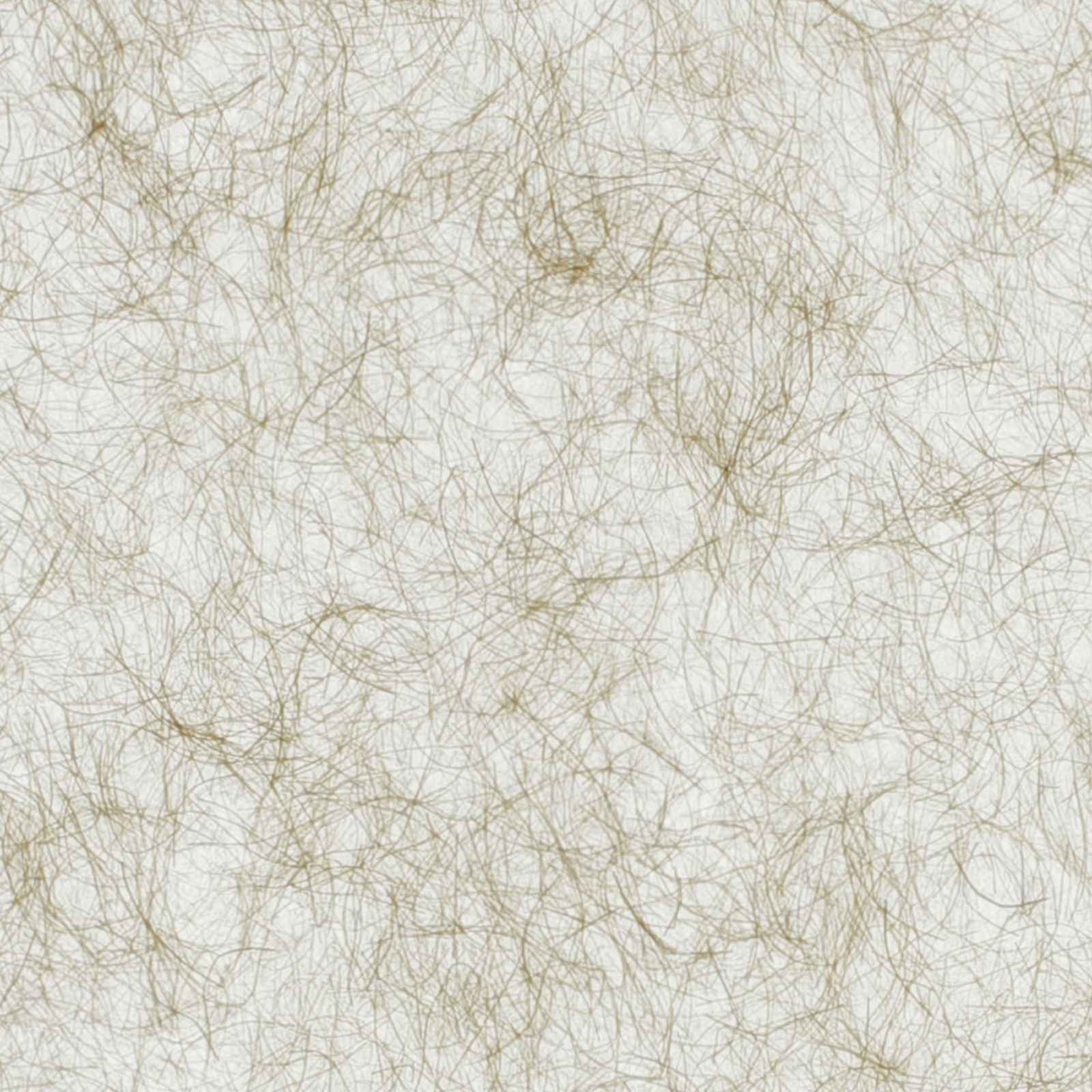 SPUN GLASS SHEET | TECTURE（テクチャー）