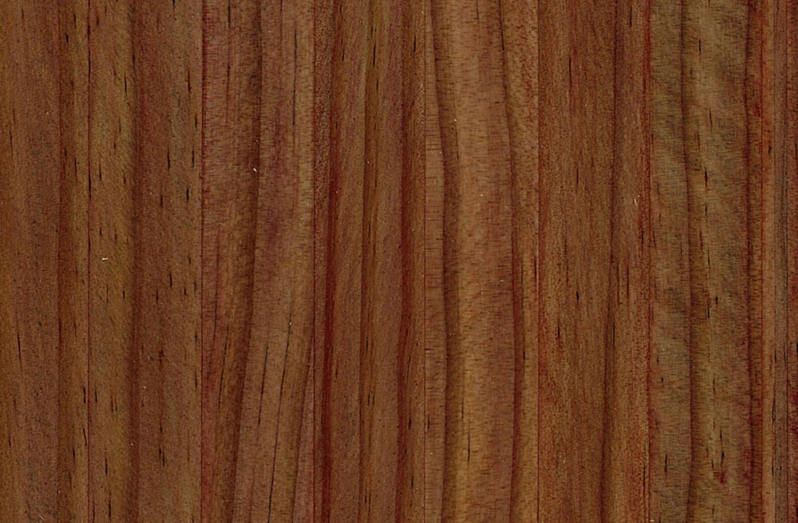 EW8 MATERIAL | TECTURE（テクチャー）