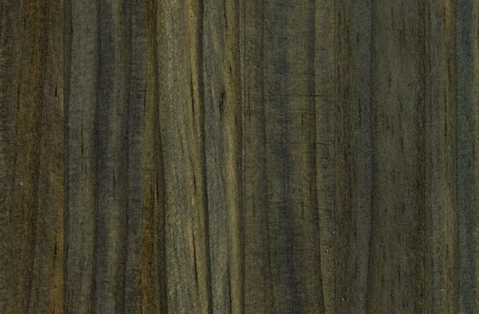 EW8 MATERIAL | TECTURE（テクチャー）