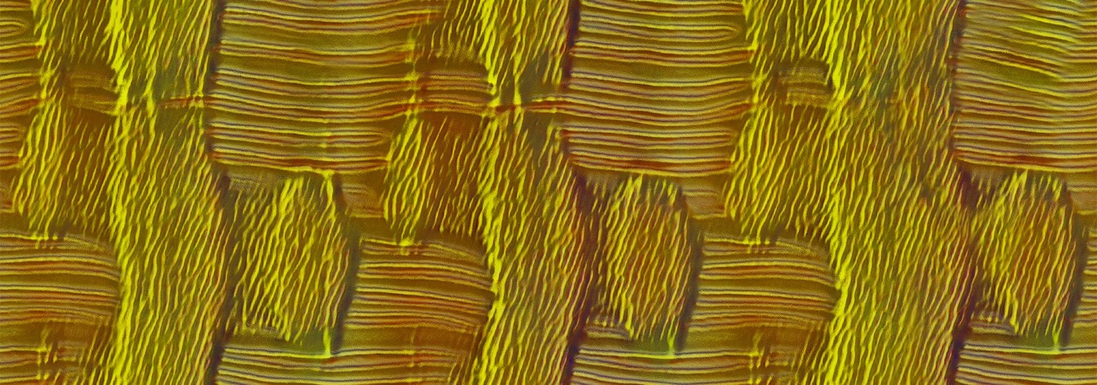 NO.100 | TECTURE（テクチャー）