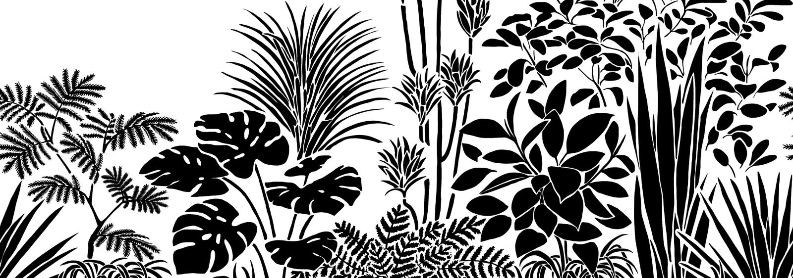 Plants | TECTURE（テクチャー）