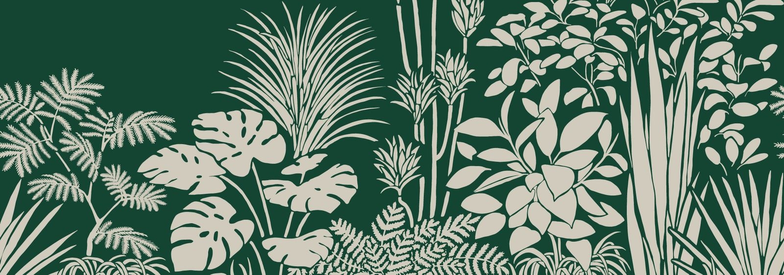 Plants | TECTURE（テクチャー）