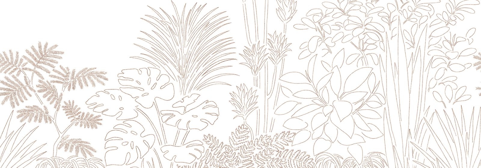 Plants line | TECTURE（テクチャー）