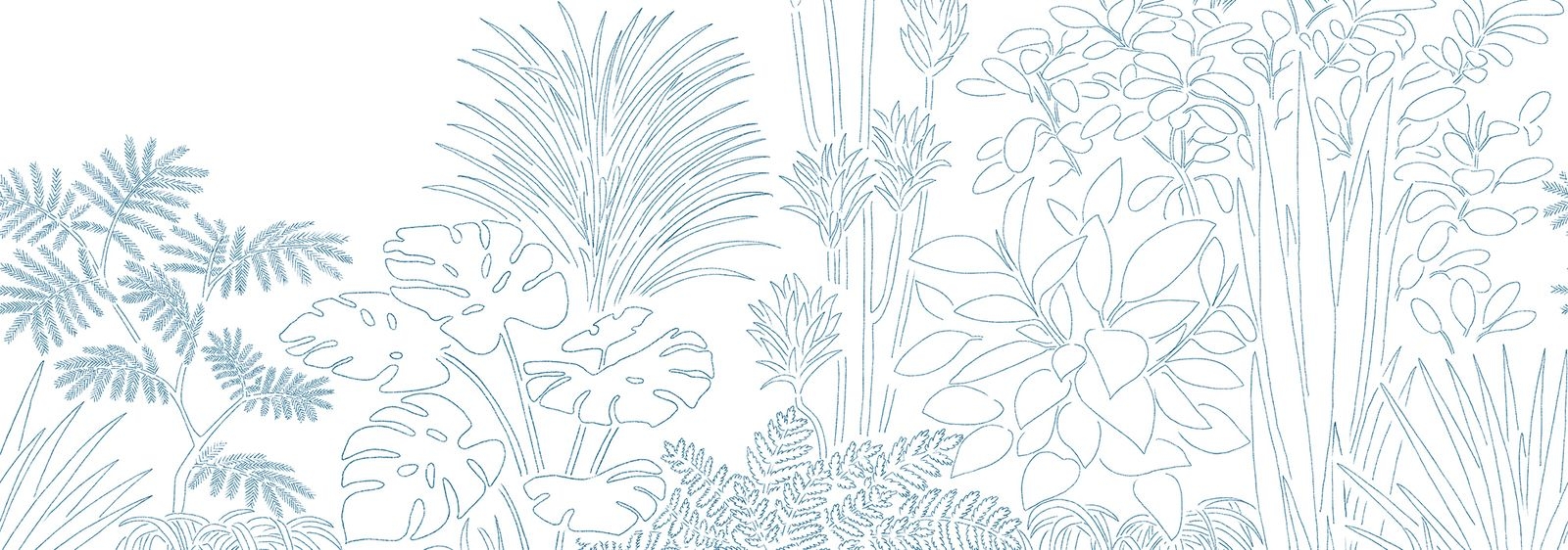 Plants line | TECTURE（テクチャー）