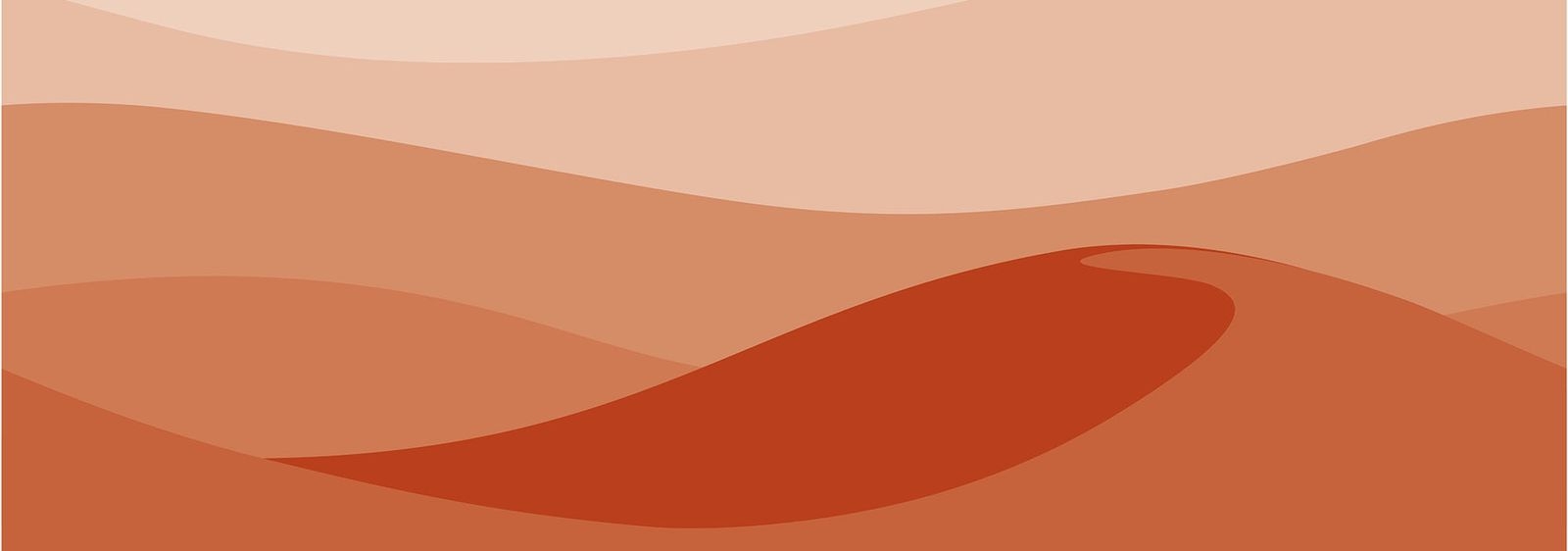 HILLS | TECTURE（テクチャー）