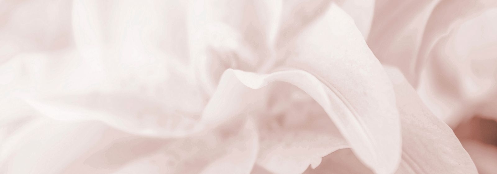 Bloom | TECTURE（テクチャー）