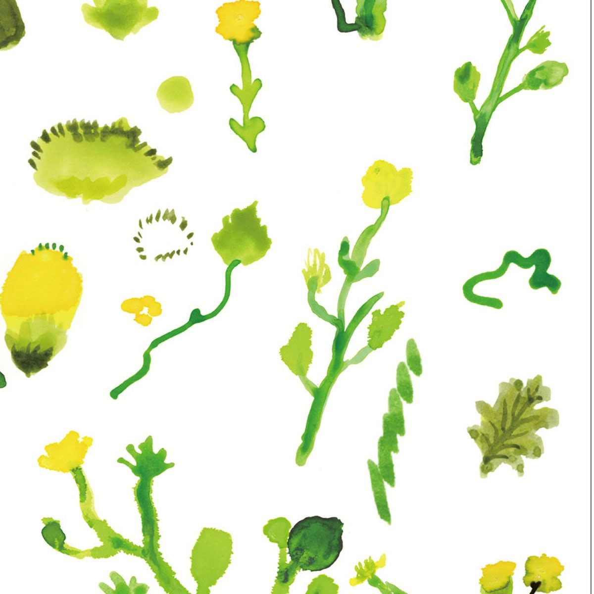 flower plants (L) | TECTURE（テクチャー）