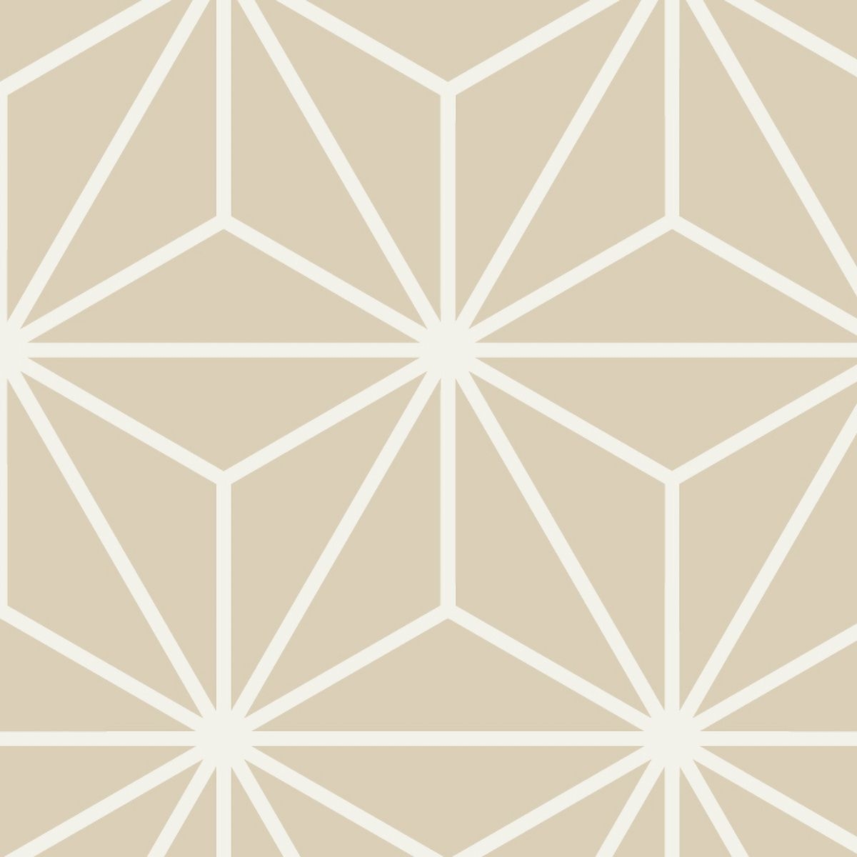 麻の葉 ASA NO HA | TECTURE（テクチャー）