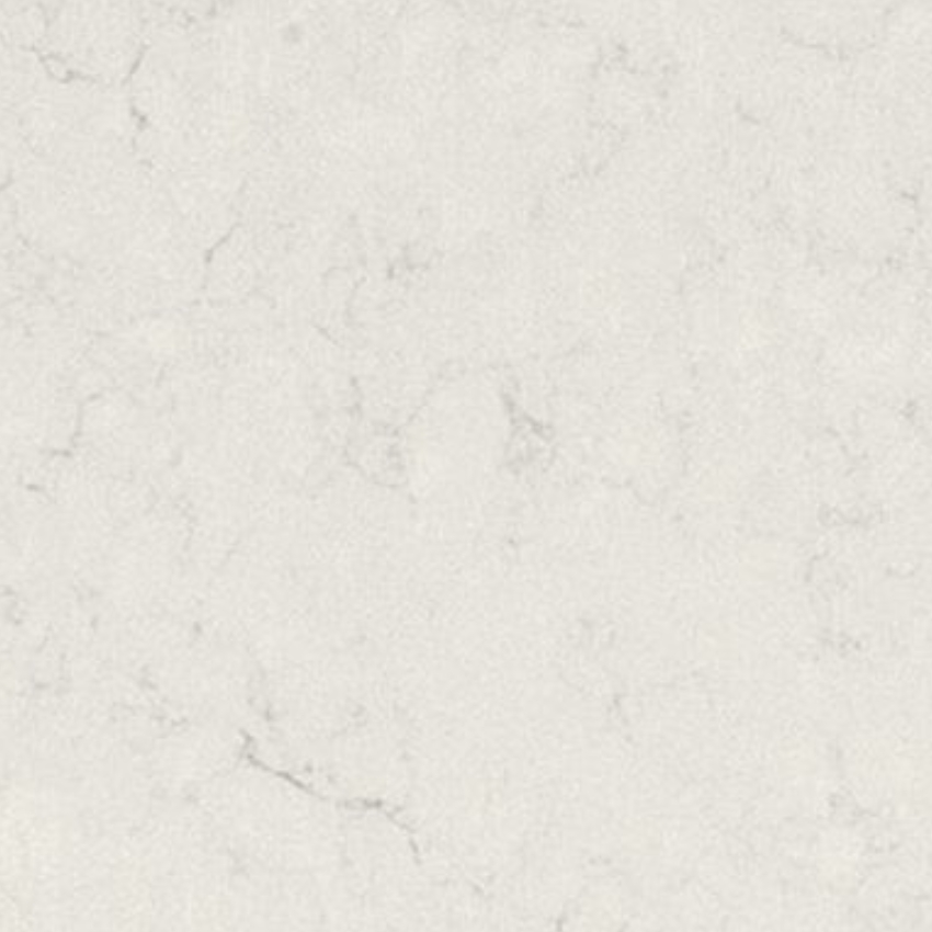 5141 Frosty Carrina | TECTURE（テクチャー）