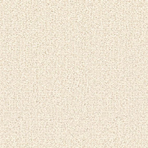 ニュームース | TECTURE（テクチャー）