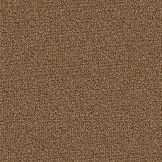 シグマ | TECTURE（テクチャー）