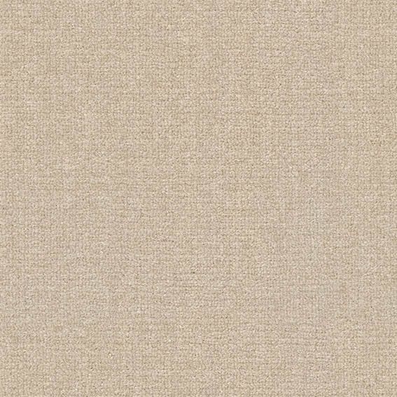 ラグドール | TECTURE（テクチャー）