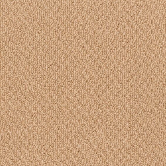 フレンズ100 | TECTURE（テクチャー）