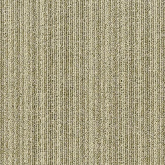 フレンズ200 | TECTURE（テクチャー）