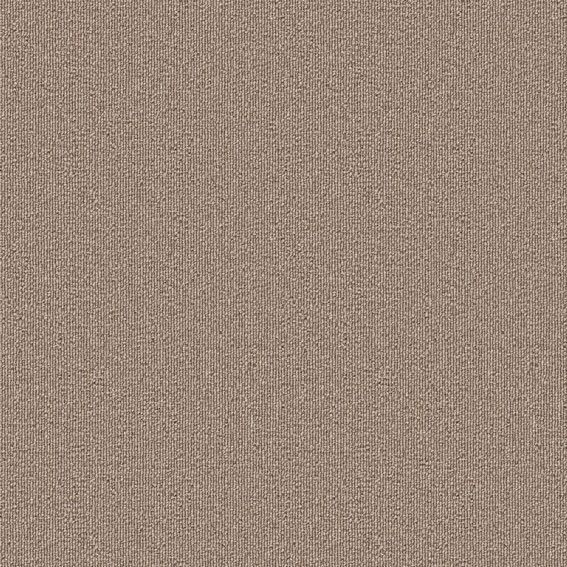 パルコ | TECTURE（テクチャー）