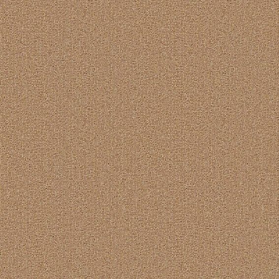 パルコ | TECTURE（テクチャー）