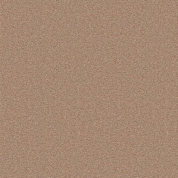 パルコ | TECTURE（テクチャー）