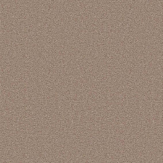 パルコ N | TECTURE（テクチャー）