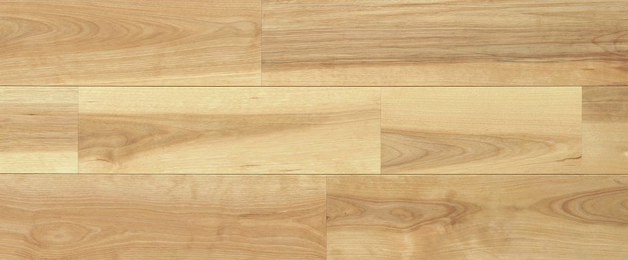 エコプレーゼV カバ 120 キャラクター | TECTURE（テクチャー）