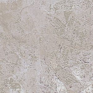 スミリウム コーディーCT | TECTURE（テクチャー）