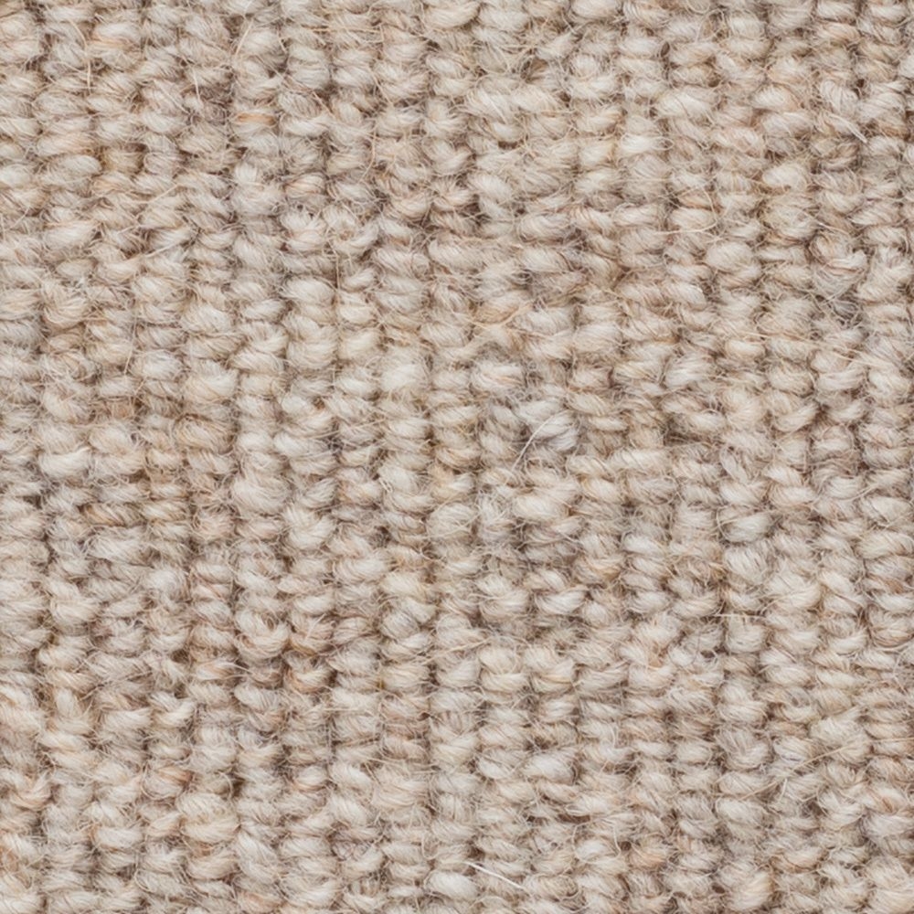 WOOL SCOTT PLAIN/ウールスコット プレーン | TECTURE（テクチャー）