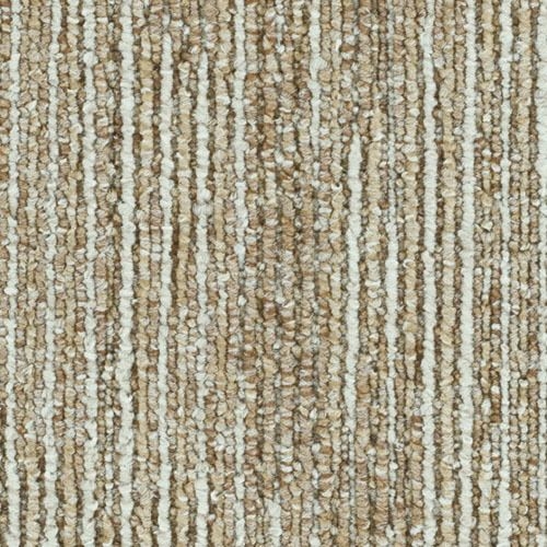 ECOS PX-5000 | TECTURE（テクチャー）