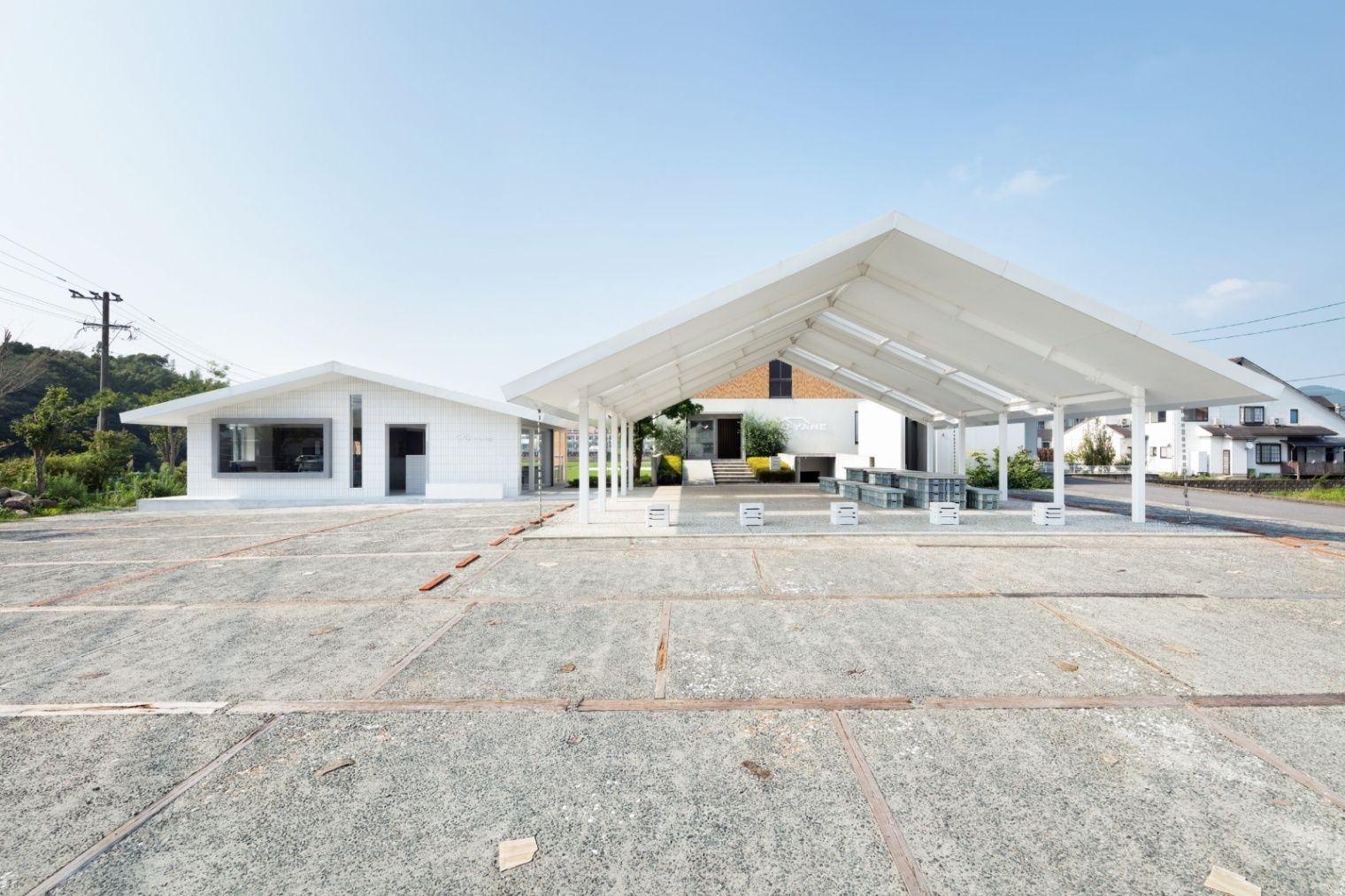 COYANEの写真 | TECTURE（テクチャー）