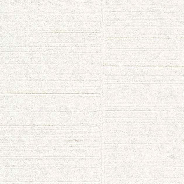 壁紙_process＃100/TERRESTRIAL STORY | TECTURE（テクチャー）