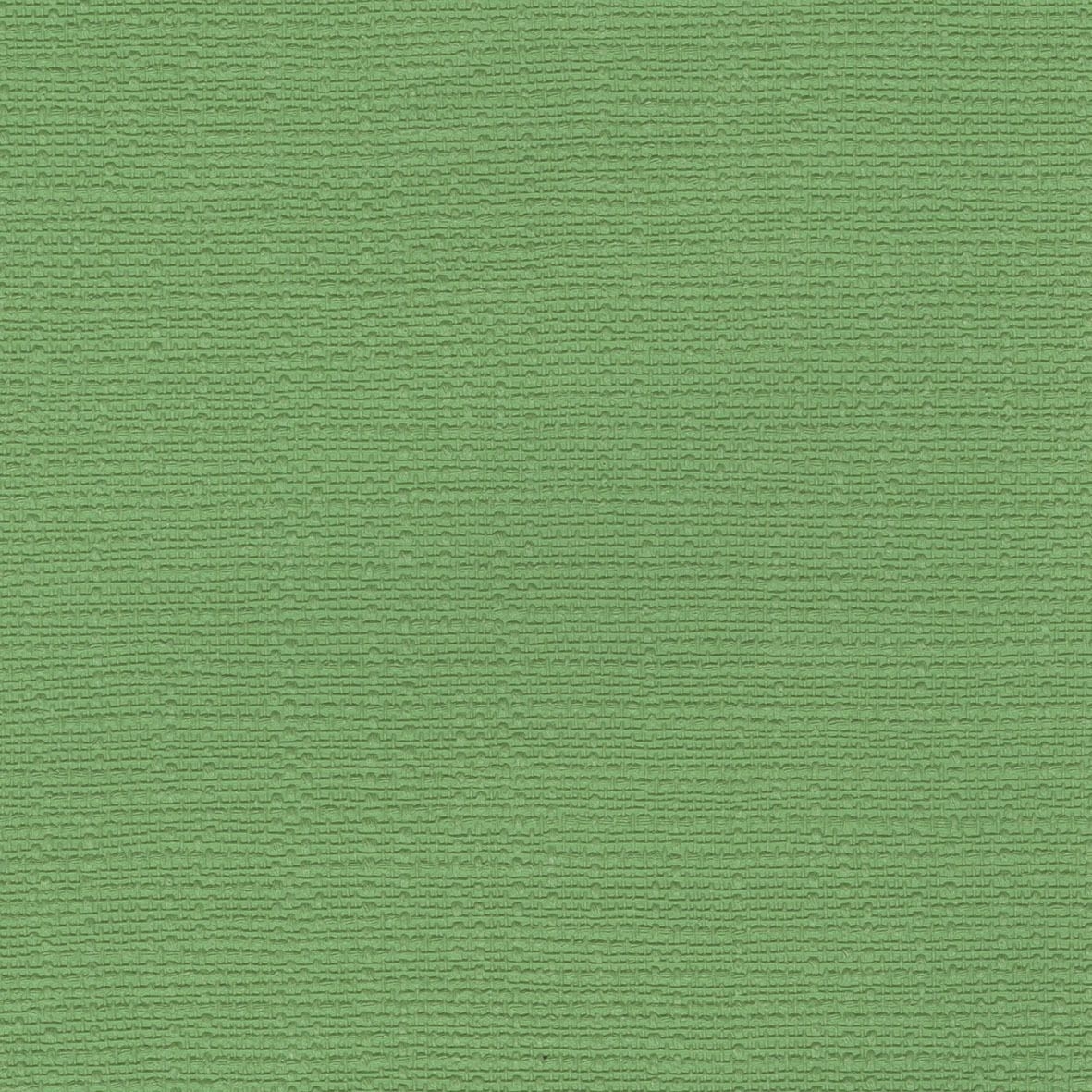 スポンジエースTP | TECTURE（テクチャー）