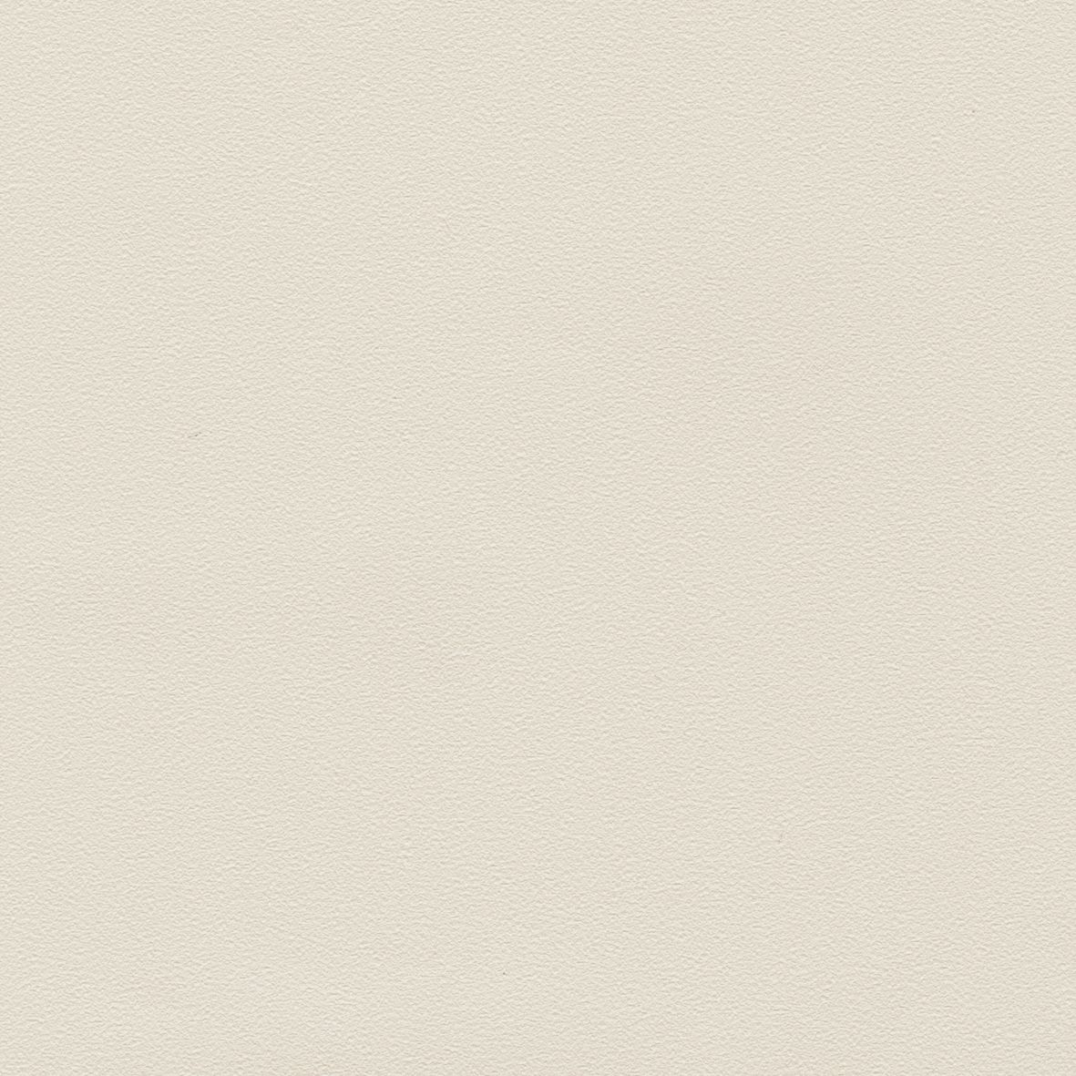 不燃 スーパー強化＋汚れ防止/（ペット対応） | TECTURE（テクチャー）