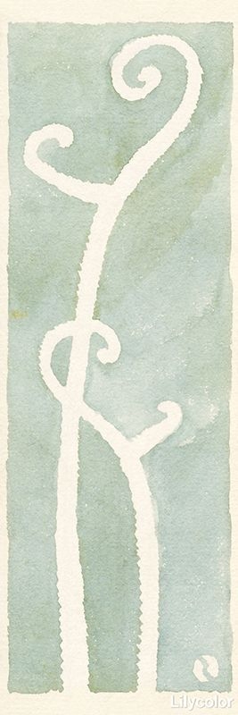 WARABI/わらび | TECTURE（テクチャー）