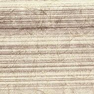 紙/和紙 | TECTURE（テクチャー）