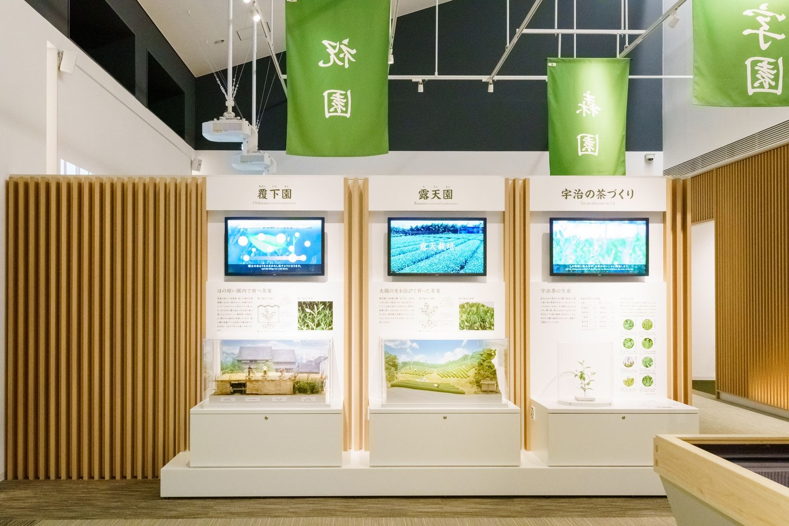 写真 | TECTURE（テクチャー）