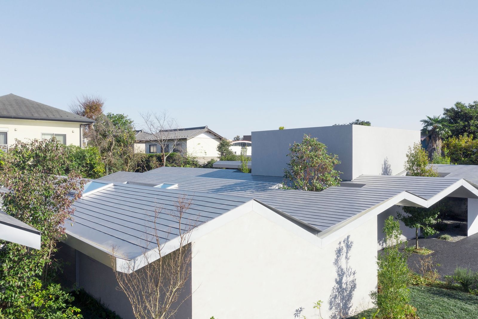 AICA/森のクリニック | TECTURE（テクチャー）