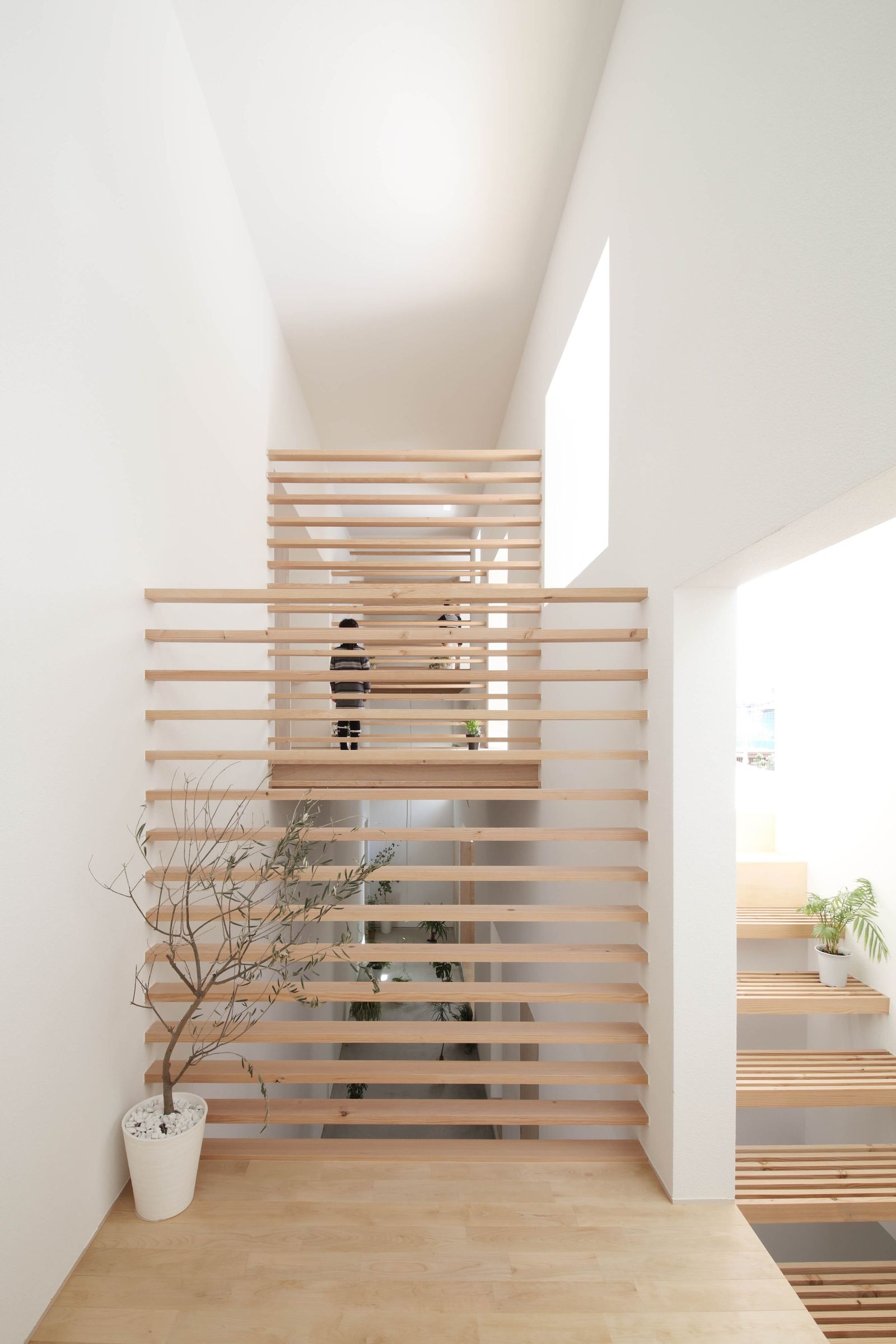 AICA/山之手の家 | TECTURE（テクチャー）