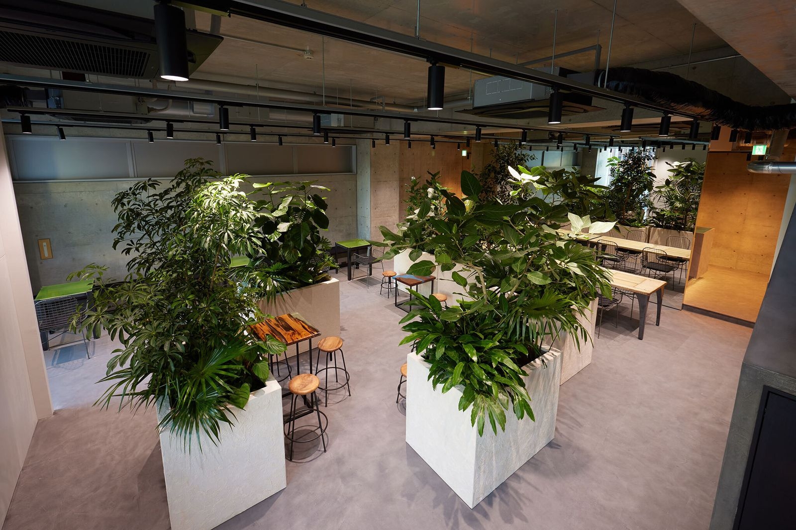 hRp_aの写真 | TECTURE（テクチャー）