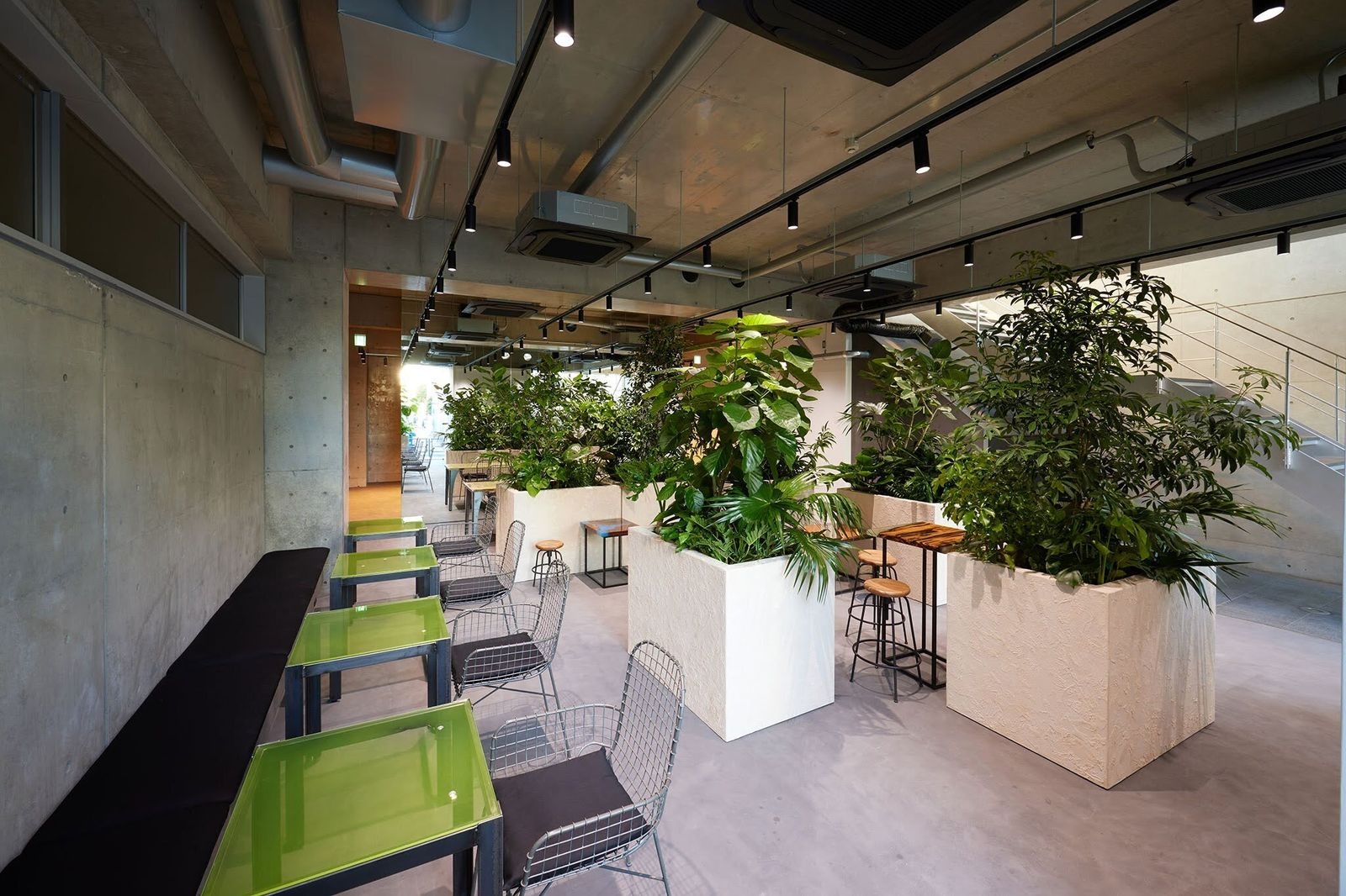 hRp_a | TECTURE（テクチャー）