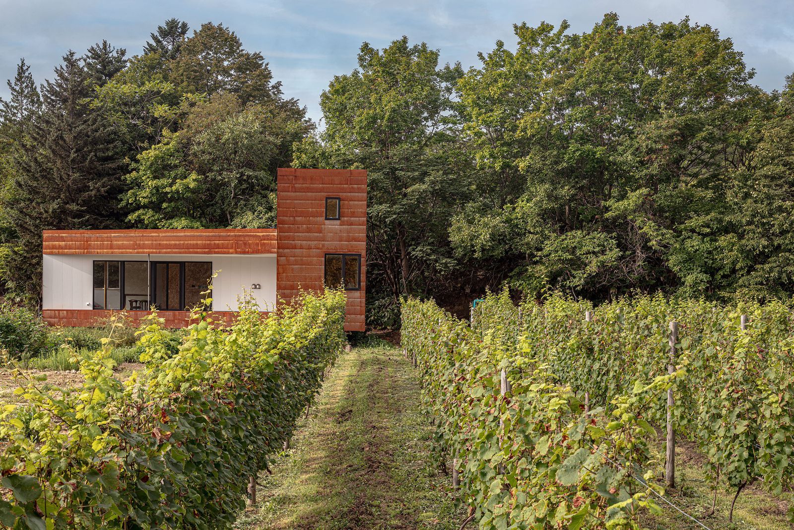 NIKI-K | TECTURE（テクチャー）