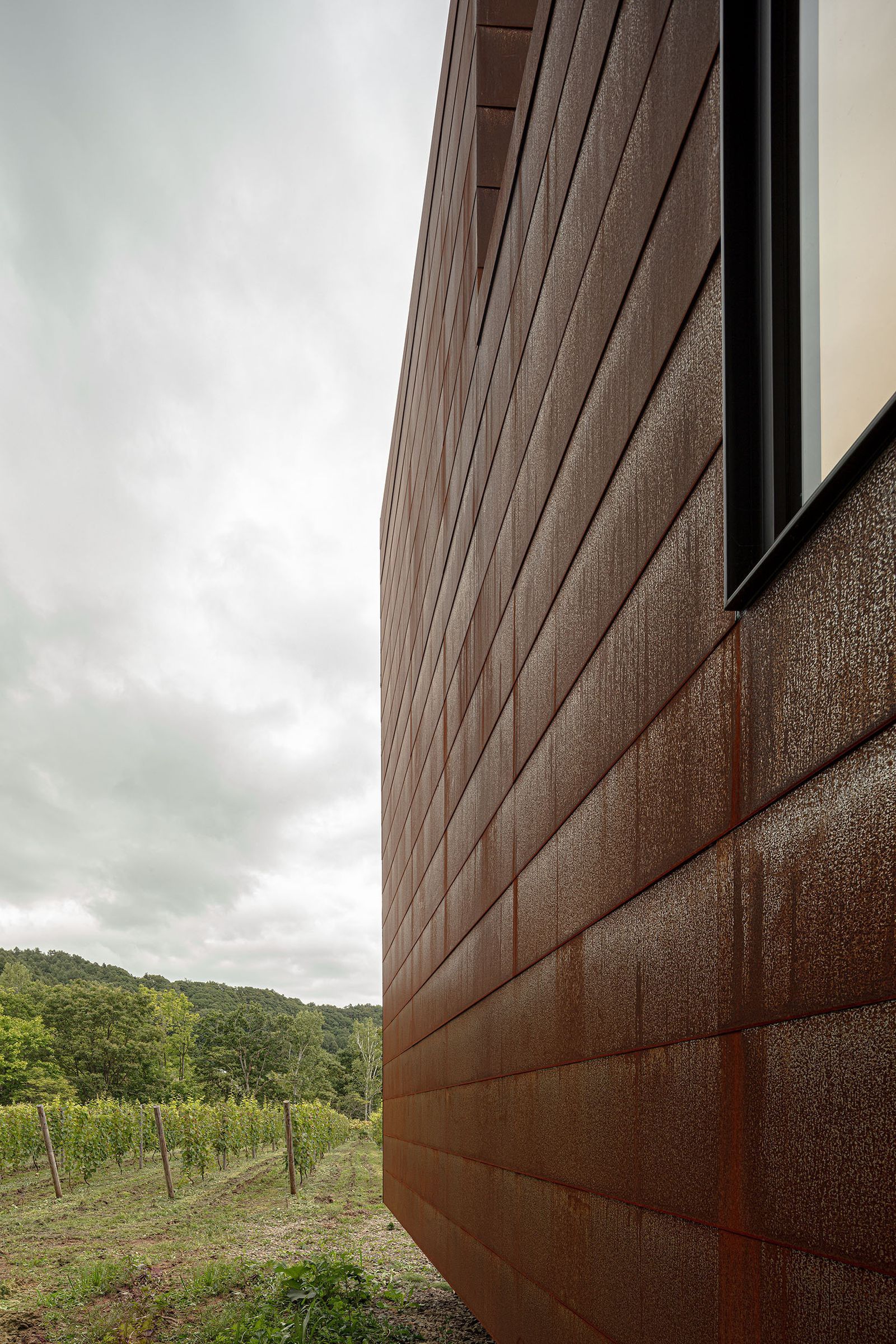 NIKI-Kの写真 | TECTURE（テクチャー）