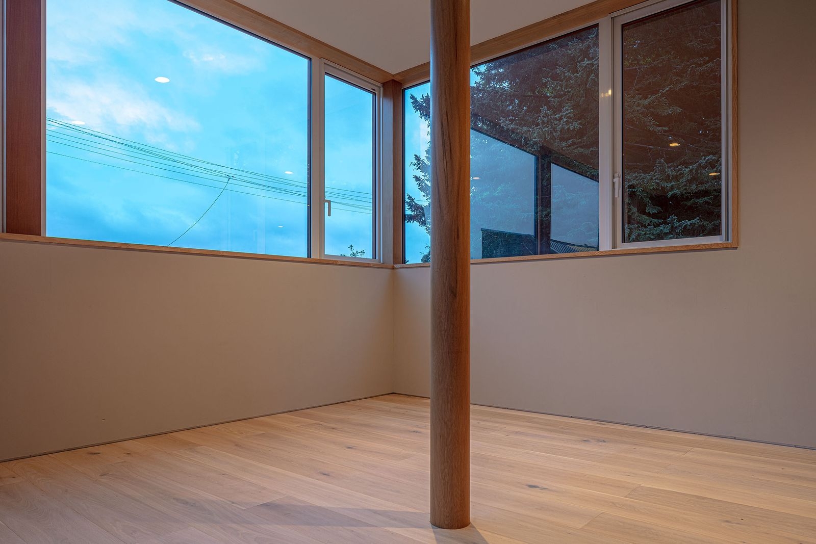 NIKI-Kの写真 | TECTURE（テクチャー）