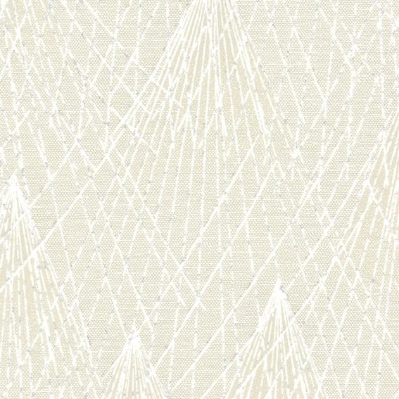 SW4017/石川 | TECTURE（テクチャー）