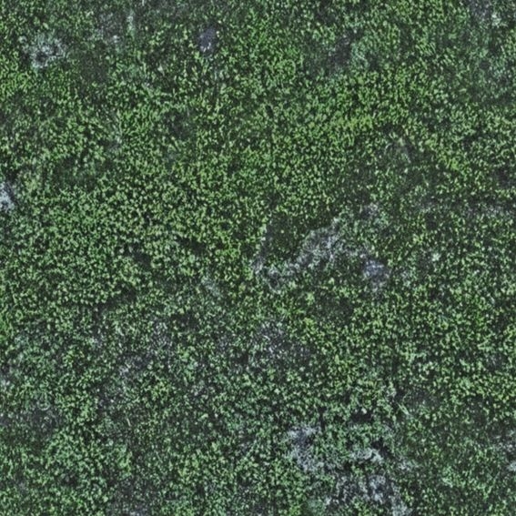 SW4030/和歌山 | TECTURE（テクチャー）