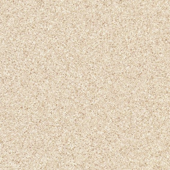 BA6145・BA6348 | TECTURE（テクチャー）